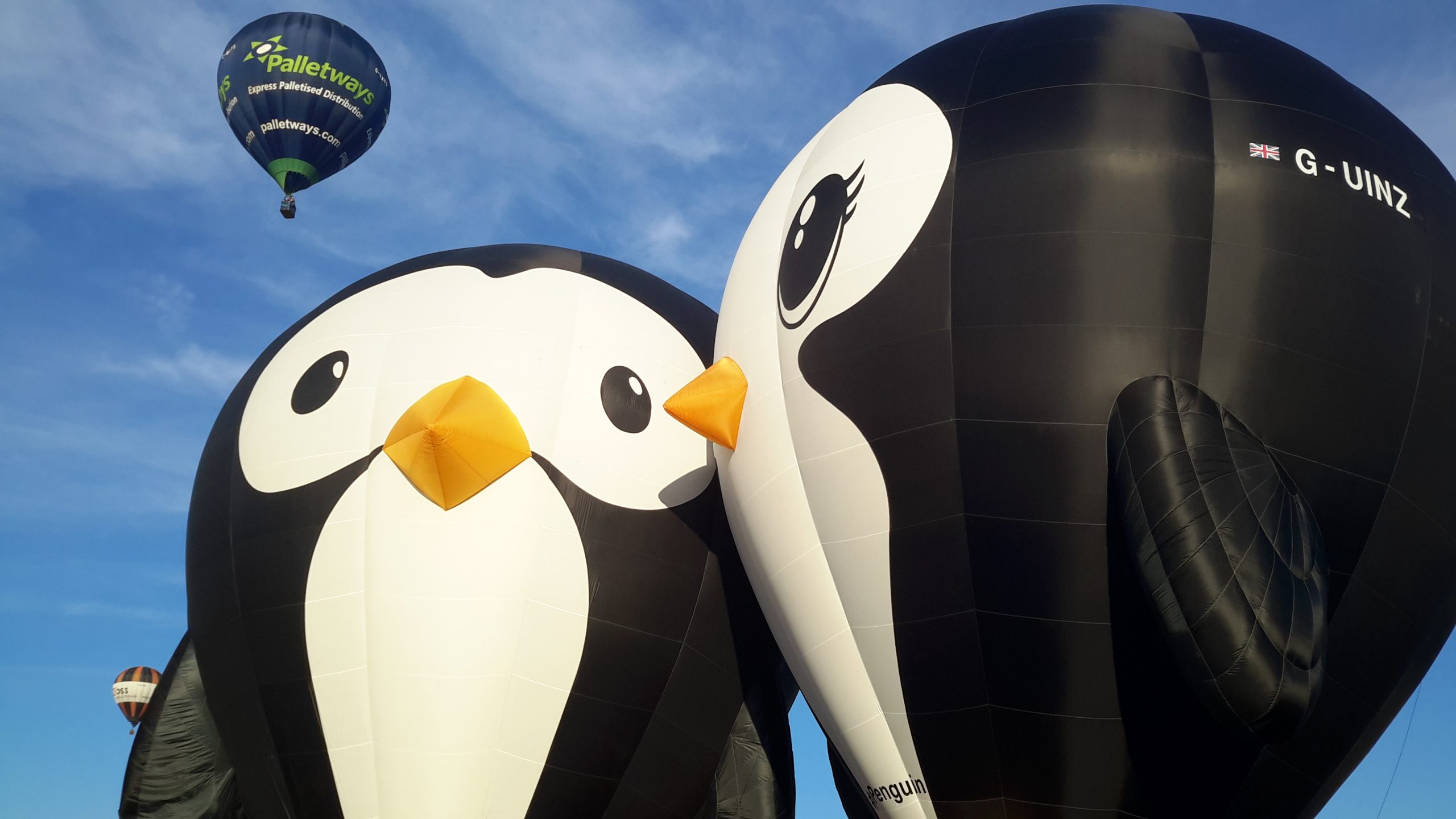 Balloon CAMO/ARC (PBN) — Balloon Owned and/or Operated Commercially or ...